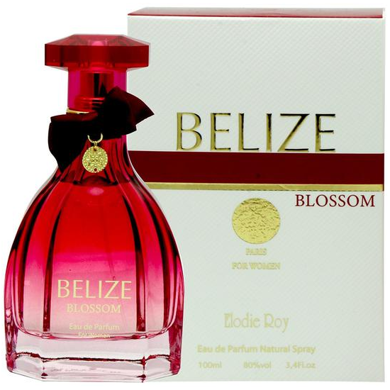 Perfume Elodie Roy Belize Blossom Eau de Parfum Feminino 100ML no ...
